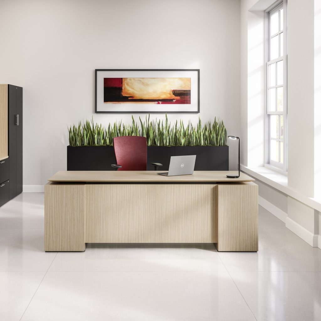 Executive Desk - Turf Office